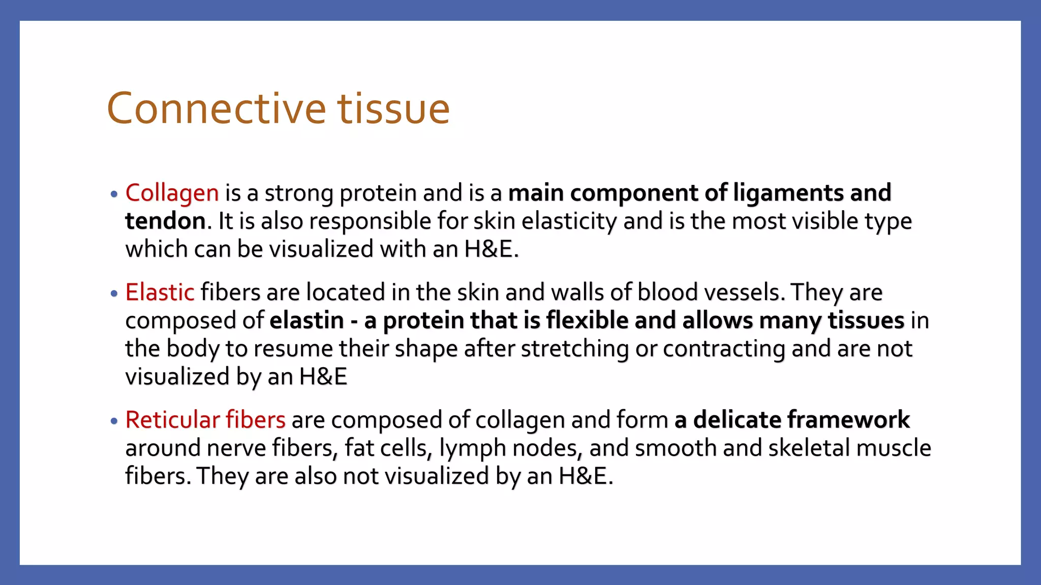 Special Stains used in Histopathology and Biopsy | PDF