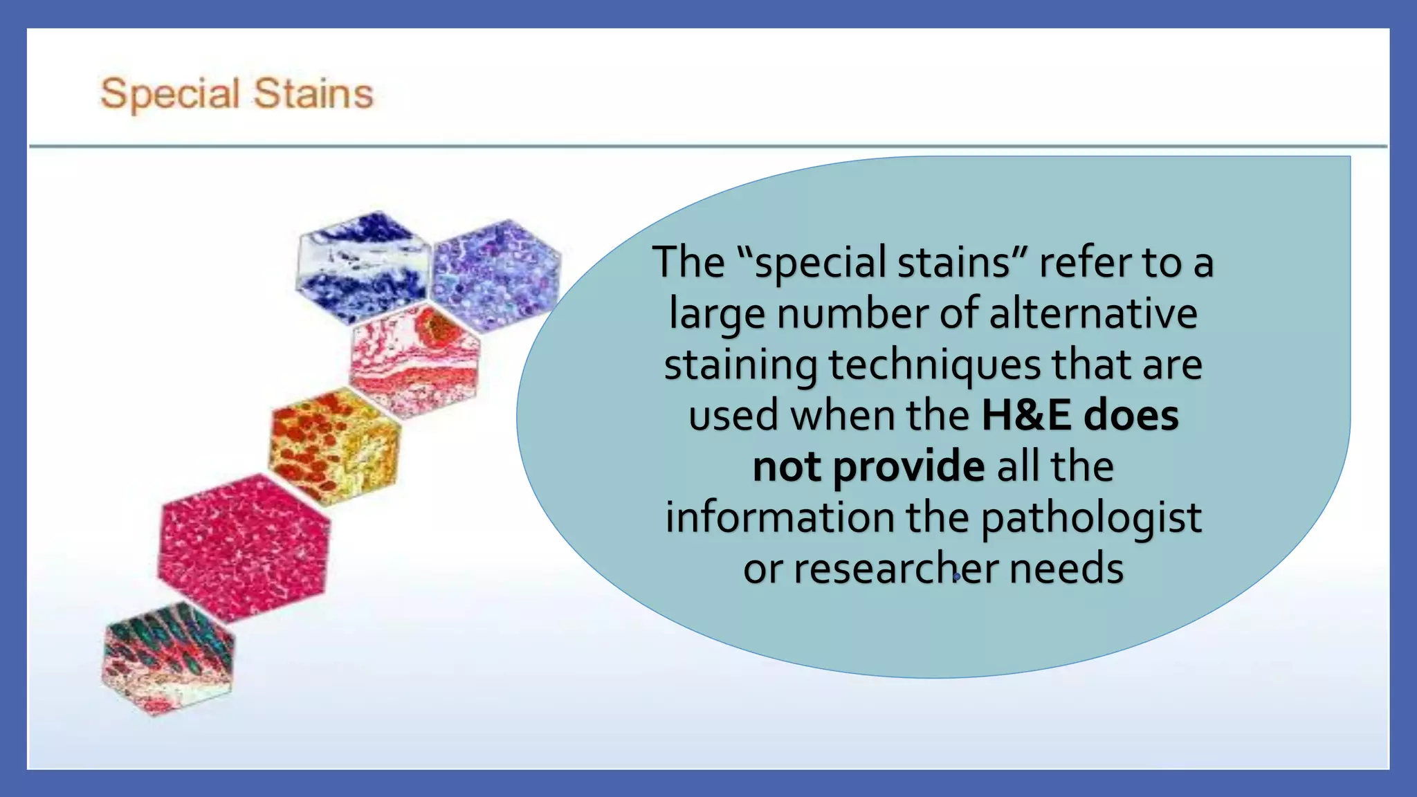 Special Stains used in Histopathology and Biopsy | PDF