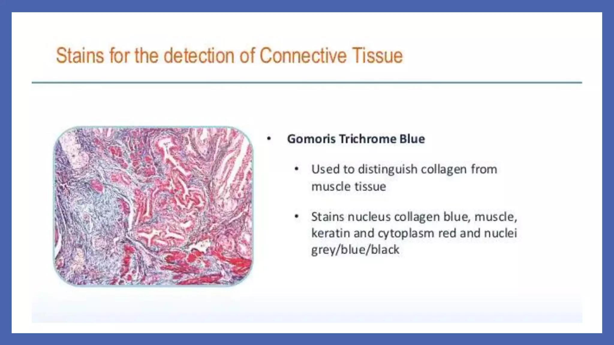 Special Stains used in Histopathology and Biopsy | PDF