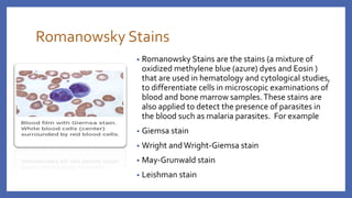 Special Stains used in Histopathology and Biopsy | PDF