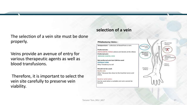 Lecture No 07 VeinPuncture.pptx