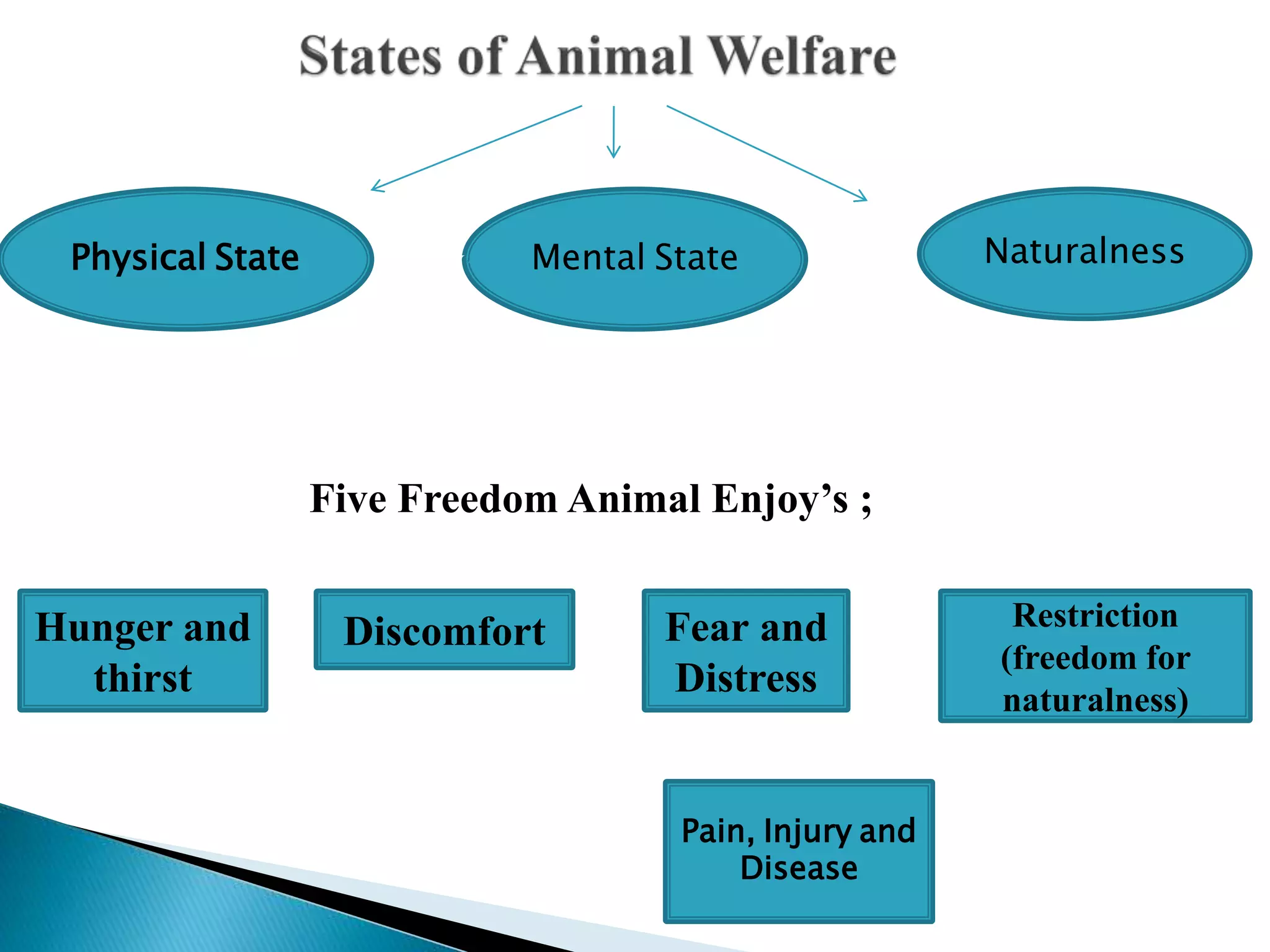 Animal welfare | PPTX