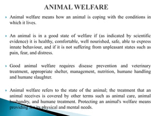 Animal welfare | PPTX