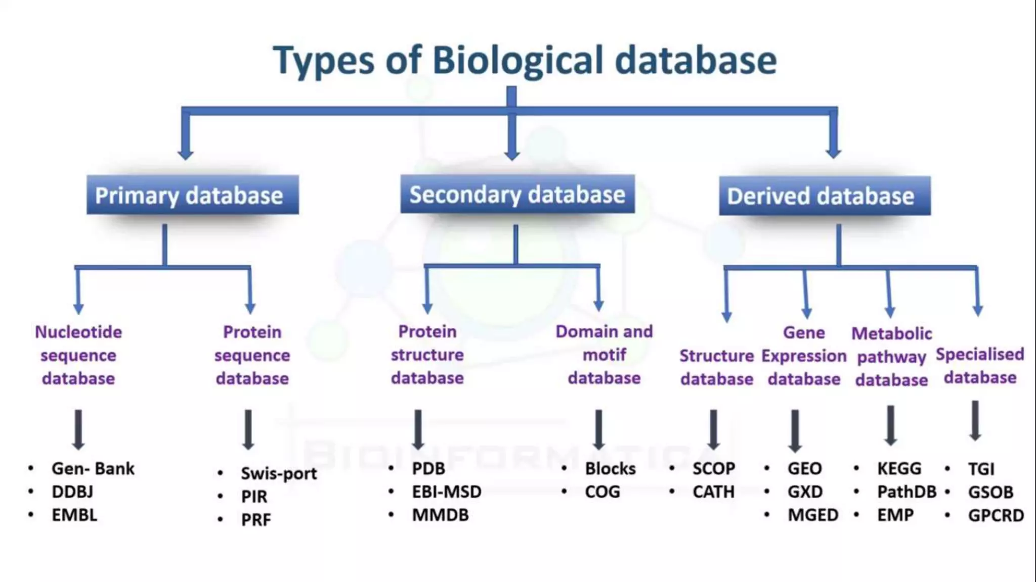 lecture No 1- types of biological data.pptx