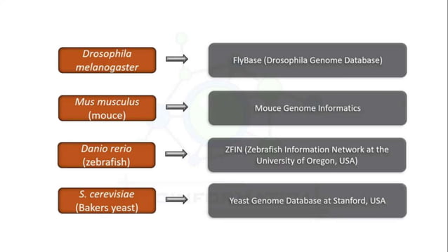 lecture No 1- types of biological data.pptx