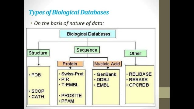 lecture No 1- types of biological data.pptx