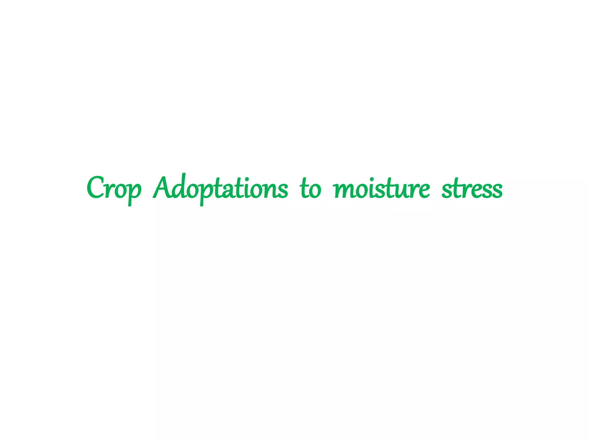 EFFECT OF MOISTURE STRESS ON PLANT GROWTH AND DEVELOPMENT | PPTX