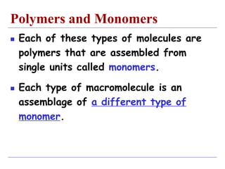 lecture no.1 biochemistry for biological | PPT