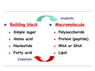 lecture no.1 biochemistry for biological | PPT
