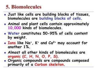 lecture no.1 biochemistry for biological | PPT