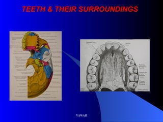 Lecture no 1 introduction to general dentistry | PPT
