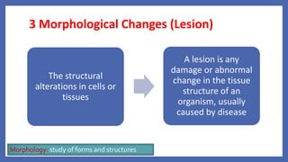 Introduction to Pathology.pptx