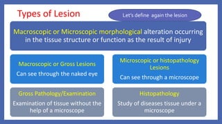 Introduction to Pathology.pptx