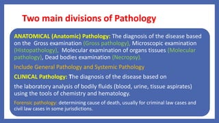 Introduction to Pathology.pptx