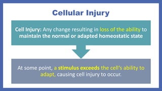 Cellular Response to cell Injury and Cellular Adaptations .pptx