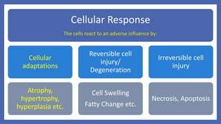 Cellular Response to cell Injury and Cellular Adaptations .pptx