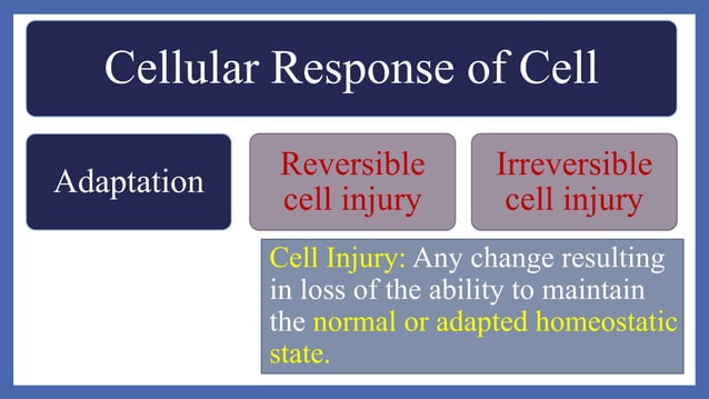 Difference between reversible and irreversible cell injury,Mechanism of ...
