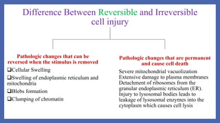 Difference between reversible and irreversible cell injury,Mechanism of ...
