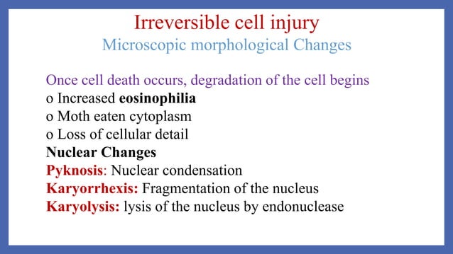 Difference between reversible and irreversible cell injury,Mechanism of ...