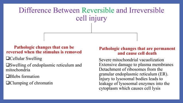 Difference between reversible and irreversible cell injury,Mechanism of ...