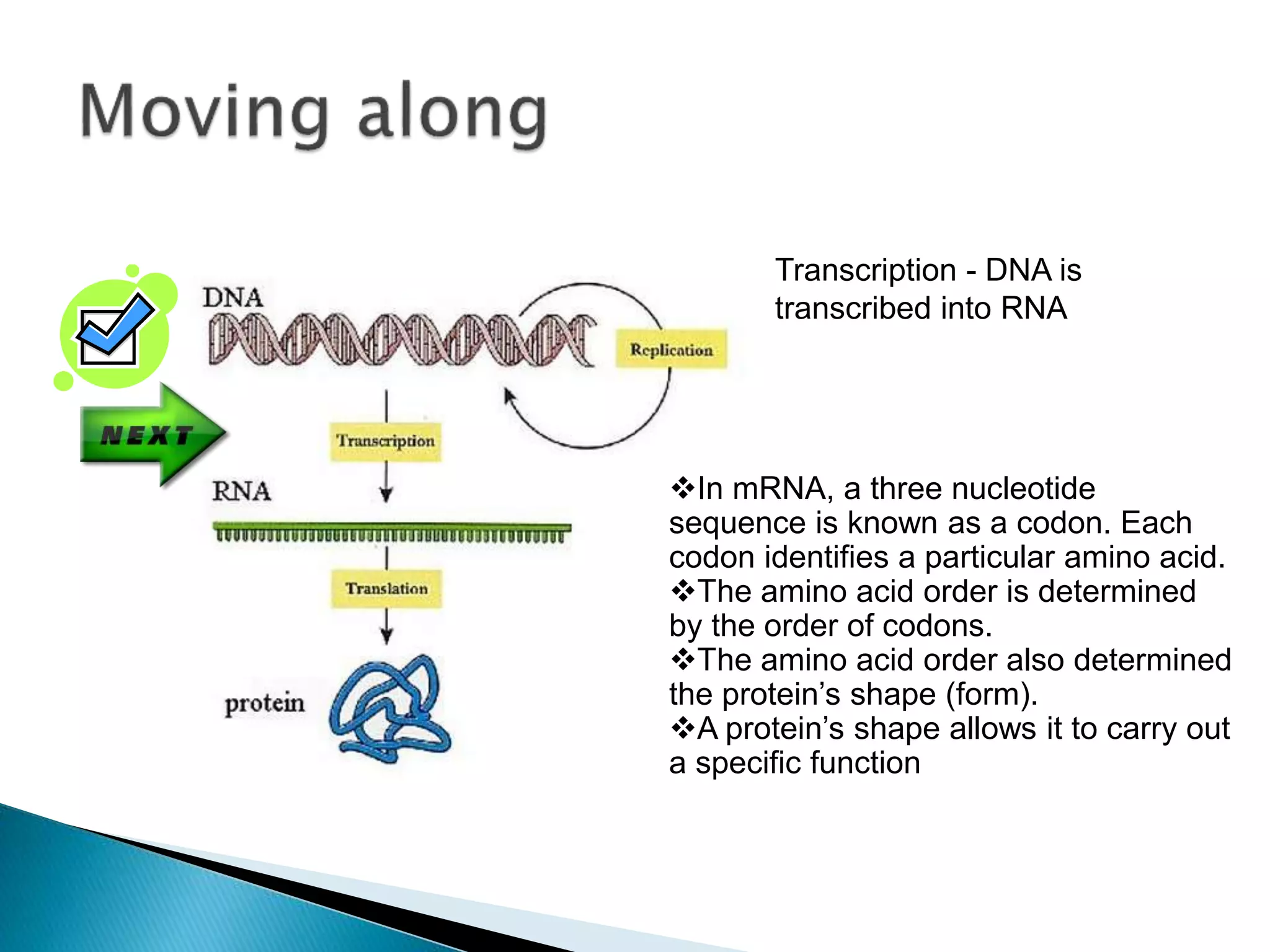 lecture No 3-central dogma.ppt