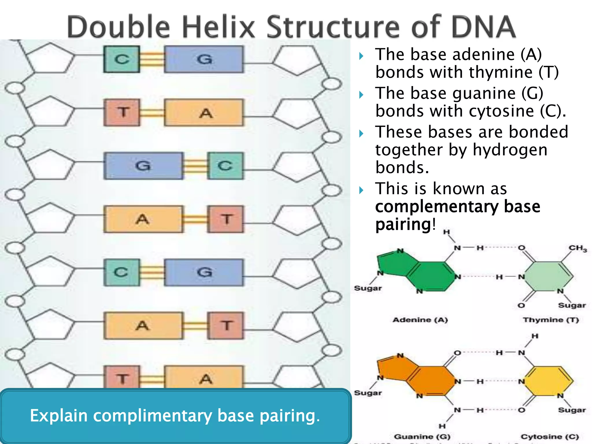lecture No 3-central dogma.ppt