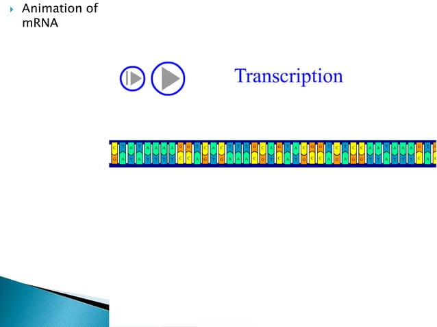 lecture No 3-central dogma.ppt