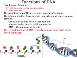 lecture No 3-central dogma.ppt