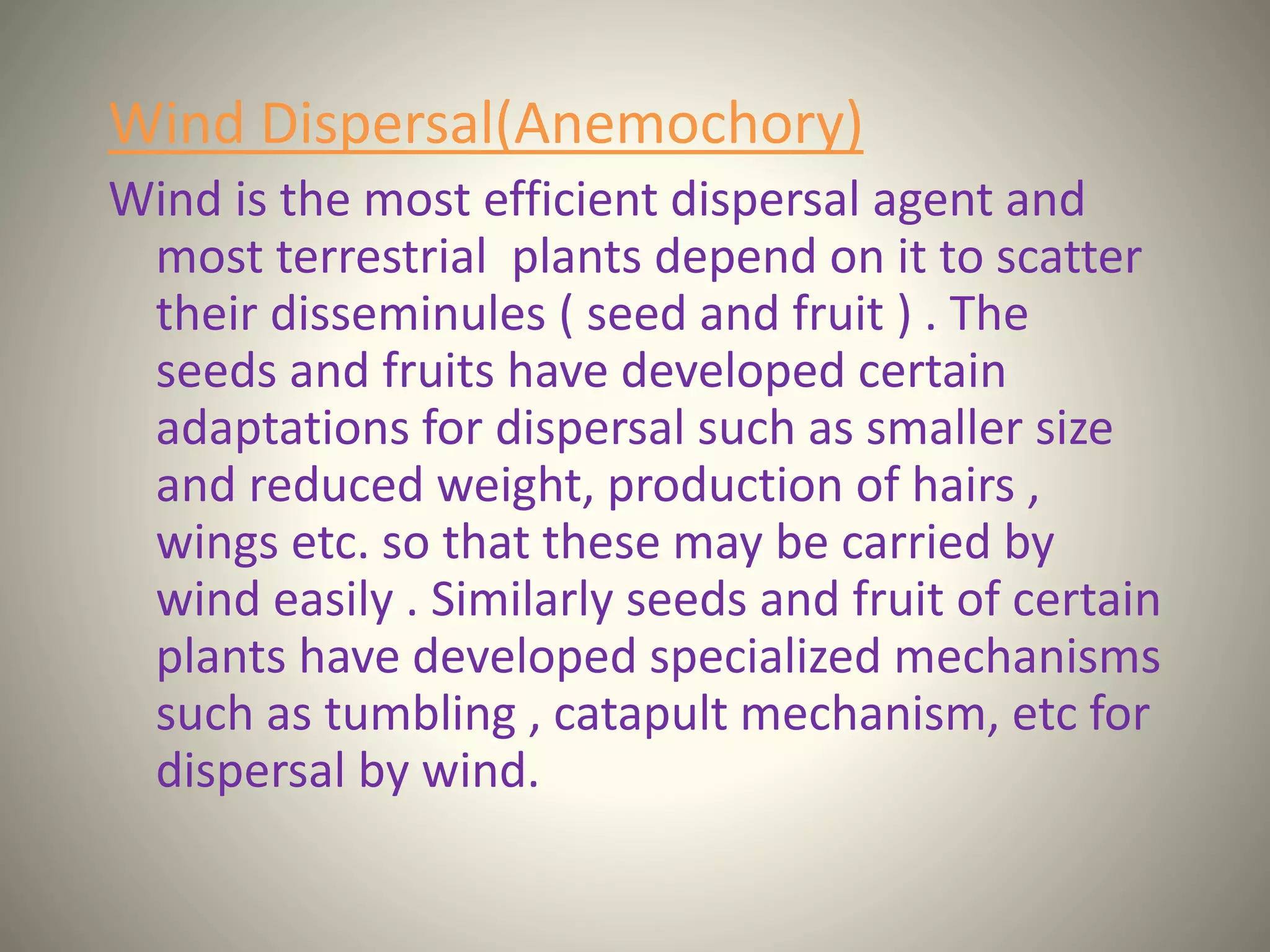 Lecture no 38 wind as an ecologiccal factor ppt | PPTX