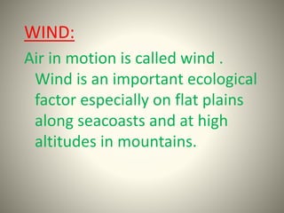 Lecture no 38 wind as an ecologiccal factor ppt | PPTX