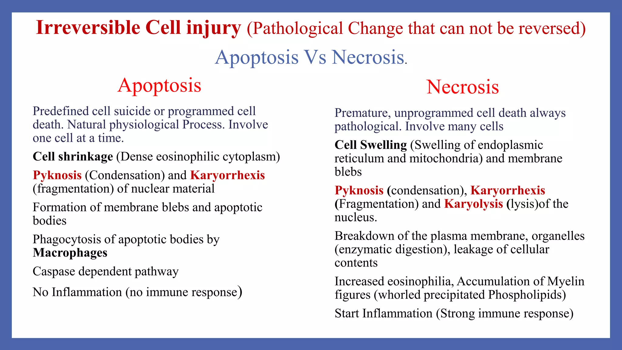 Difference between Apoptosis versus Necrosis and Types of Necrosis.pptx
