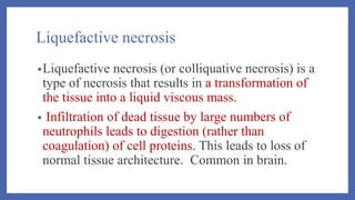 Difference between Apoptosis versus Necrosis and Types of Necrosis.pptx
