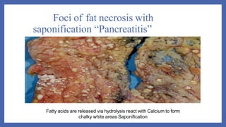 Difference between Apoptosis versus Necrosis and Types of Necrosis.pptx