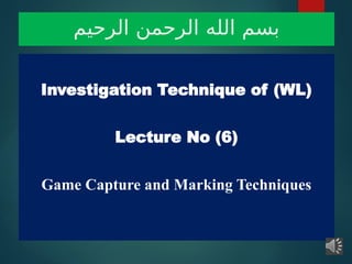 Lecture No game capture and marking (6).pptx