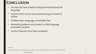 Noam Chomsky Cognitive Theory