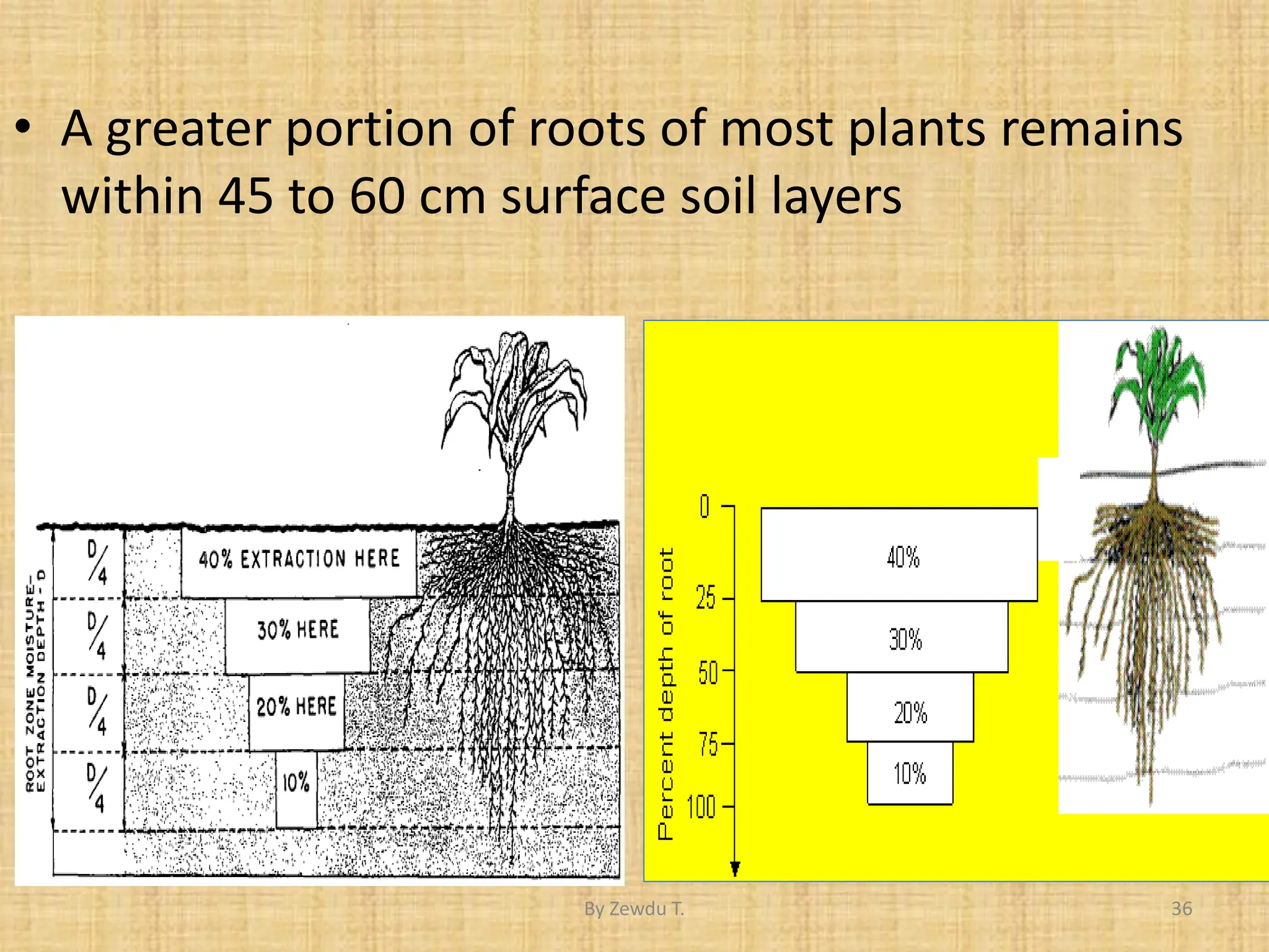 Lecture Note. Chapter 2 Soil water plant relationship.pdf