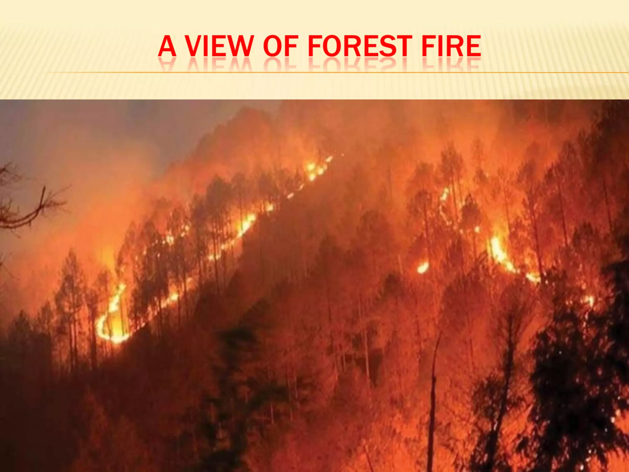 Lecture note on forest fire | PDF