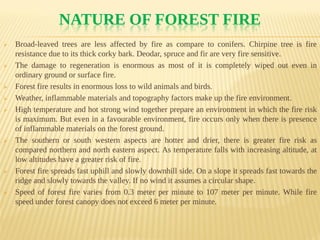 Lecture note on forest fire | PDF