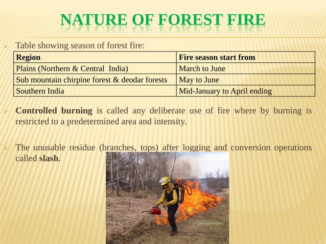 Lecture note on forest fire | PDF