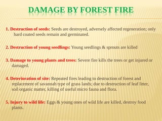 Lecture note on forest fire | PPT