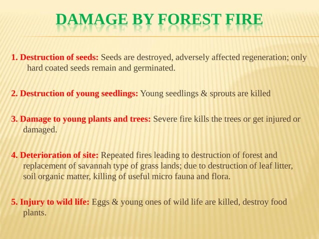 Lecture note on forest fire | PDF
