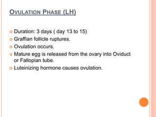 Lecture notes | PPTX