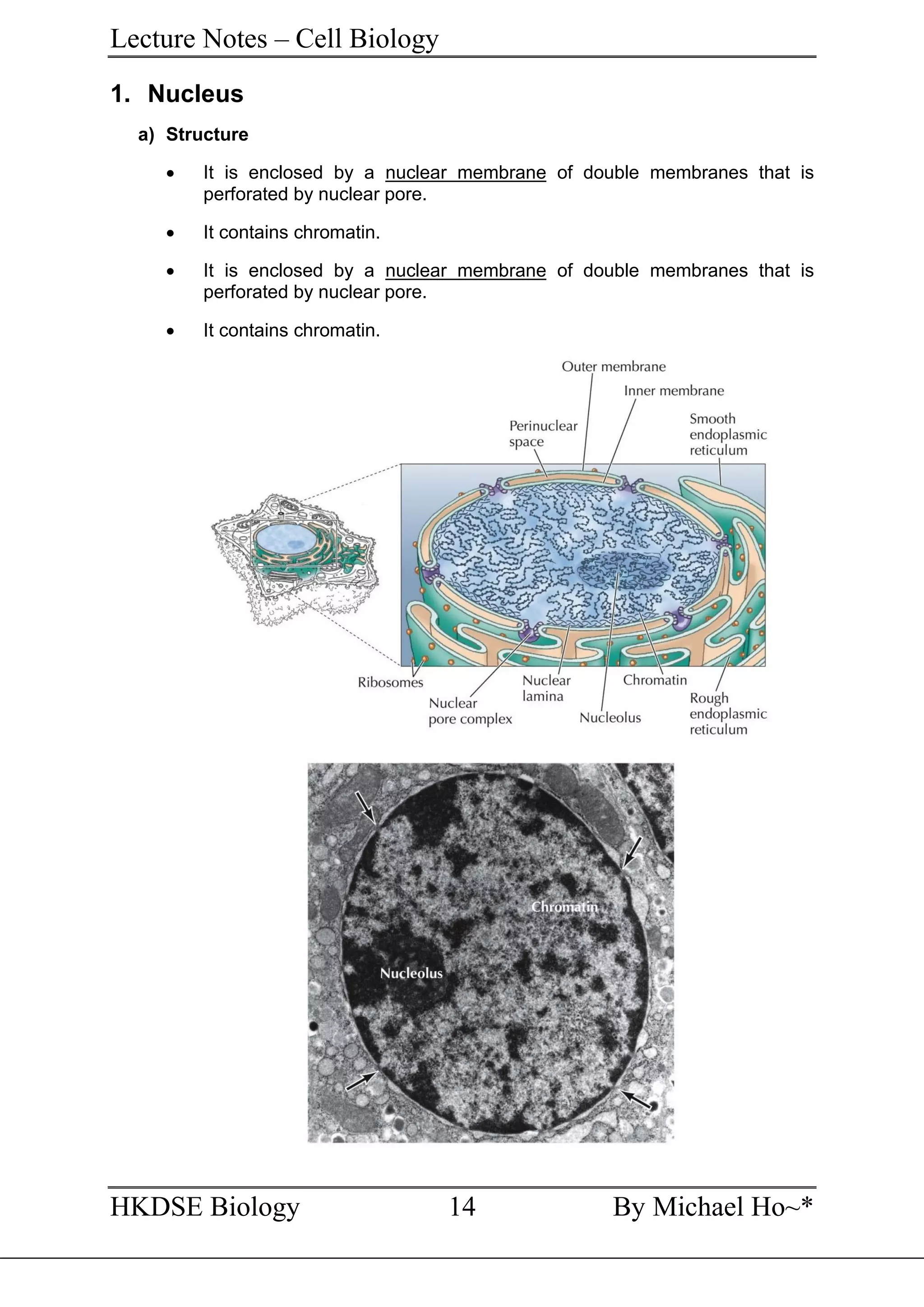 Lecture notes cell biology | PDF