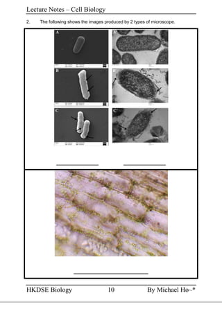 Lecture notes cell biology | PDF