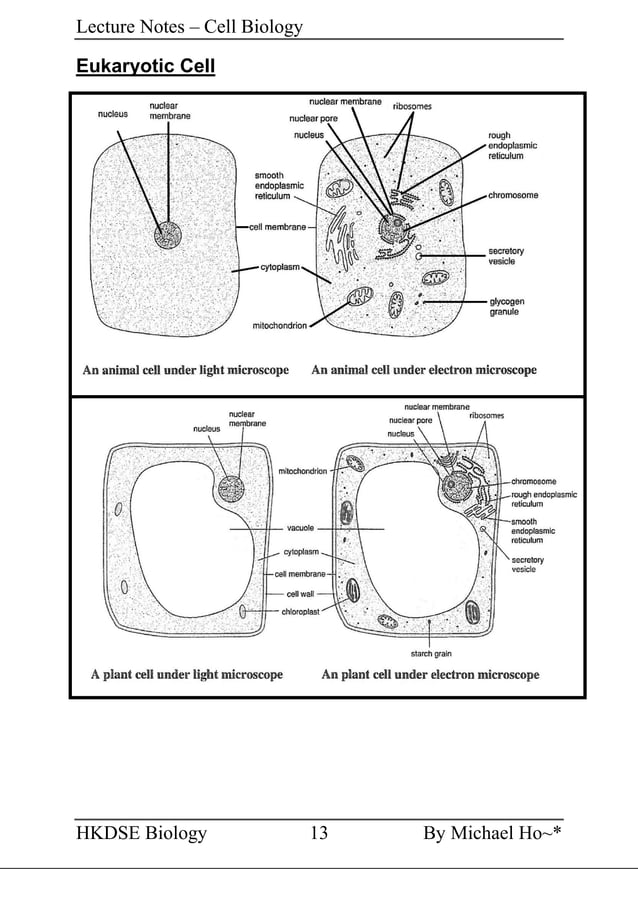 Lecture notes cell biology | PDF