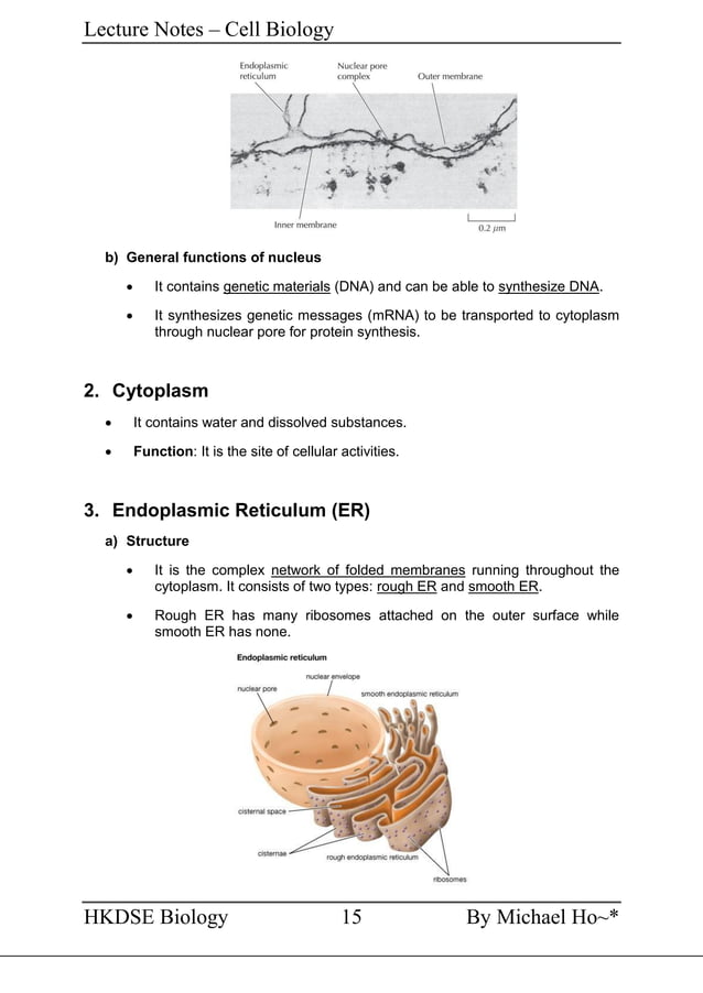 Lecture notes cell biology | PDF