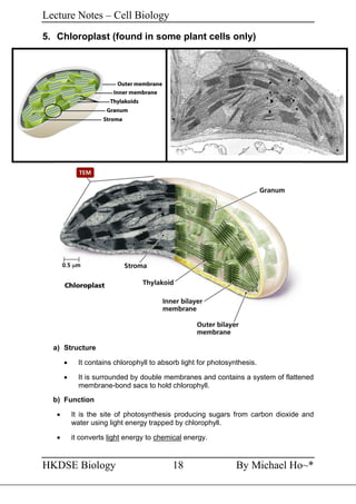 Lecture notes cell biology | PDF