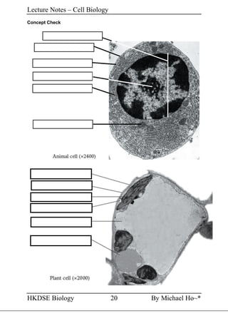 Lecture notes cell biology | PDF