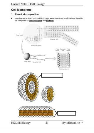 Lecture notes cell biology | PDF