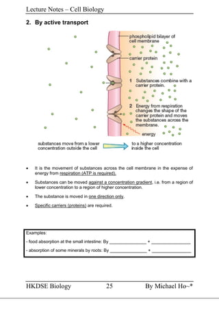 Lecture notes cell biology | PDF